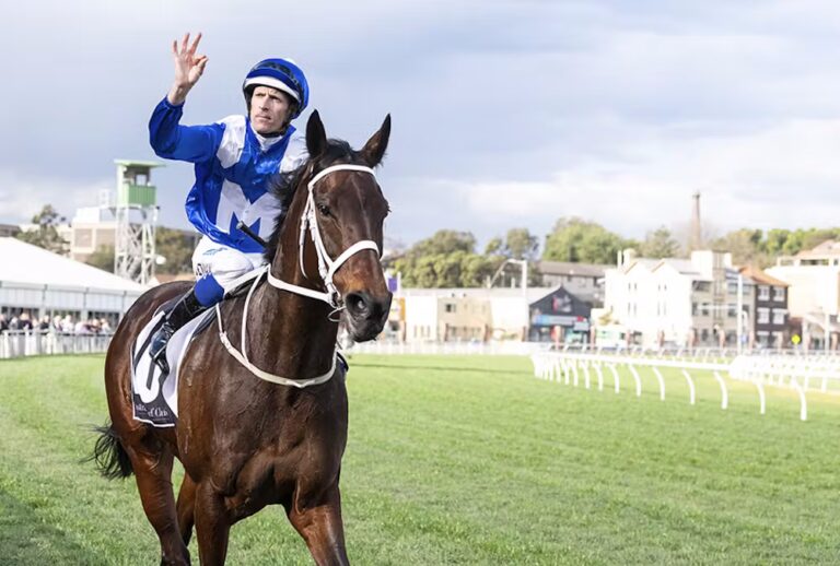 Saturday Quaddie Tips: Betsy's Best Quaddies for VIC, NSW, QLD & SA