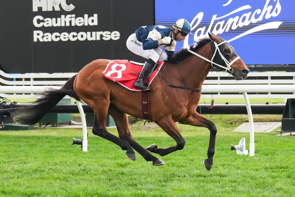 Buckaroo set for Cup tilt after Cox Plate heartbreak - Betsy.com.au ...