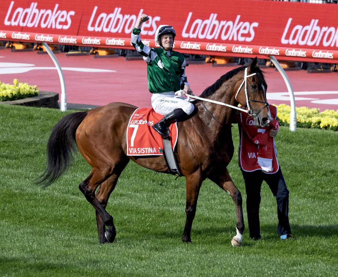 Cox Plate: The state of play - Betsy.com.au