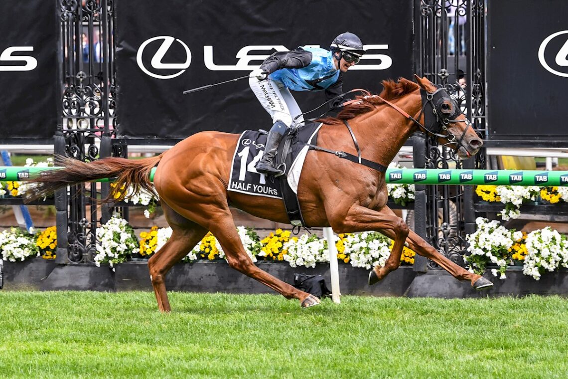 Vet concern for Cup star - Betsy.com.au