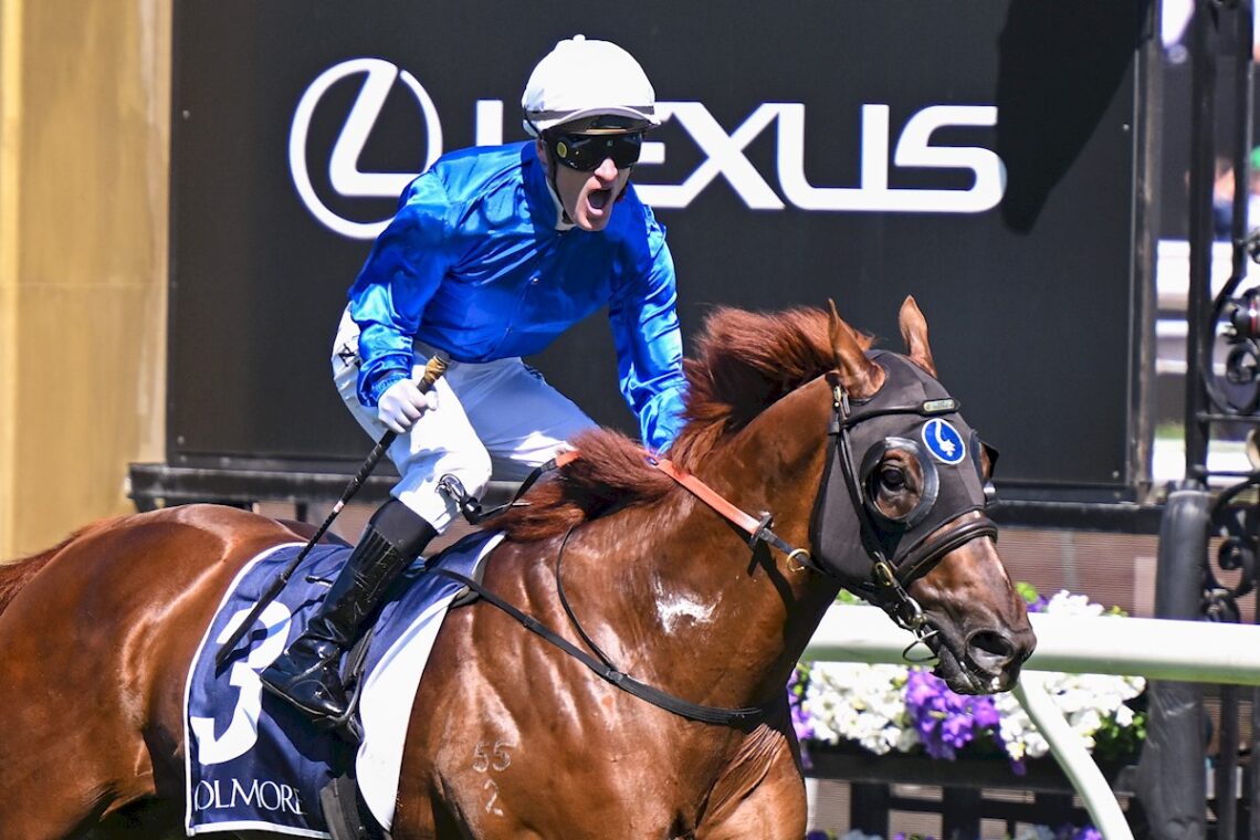 Star siblings to watch in 2026 - Betsy.com.au