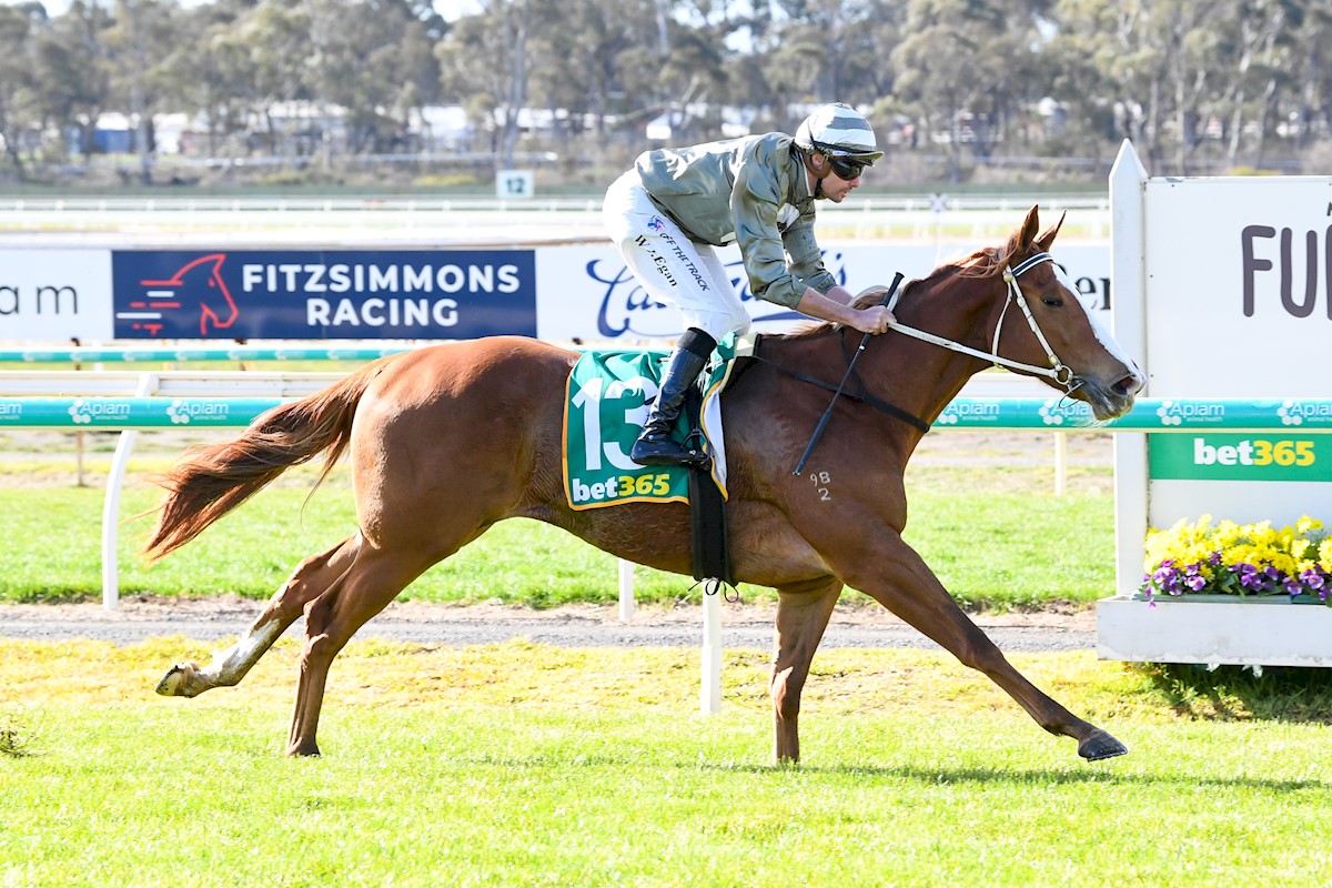 Inspired by Carberry, Oliver’s filly takes million-dollar swing - Betsy ...