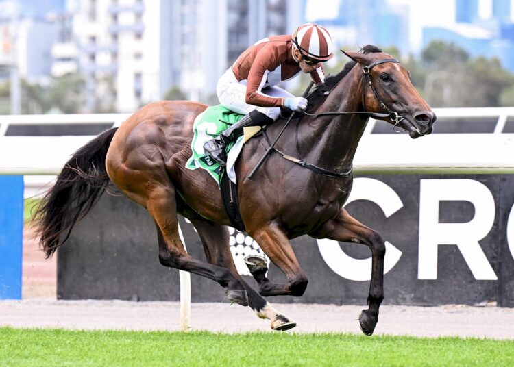 Betsy's Racing News - Betsy.com.au