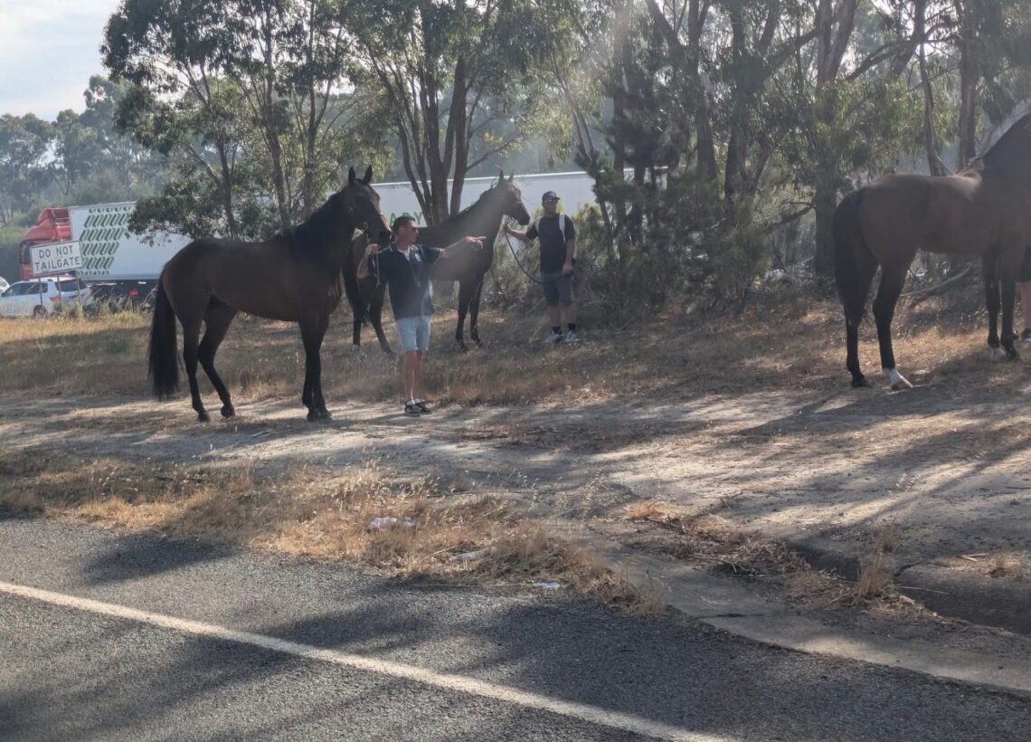 Fire, smoke, chaos: Highway horror before Cranbourne Cup epic - Betsy ...